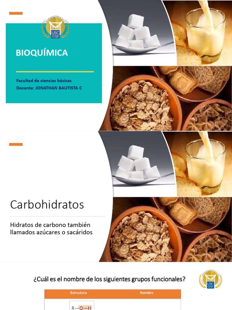 Bioquimica Clase 3 Carbohidratos | PDF