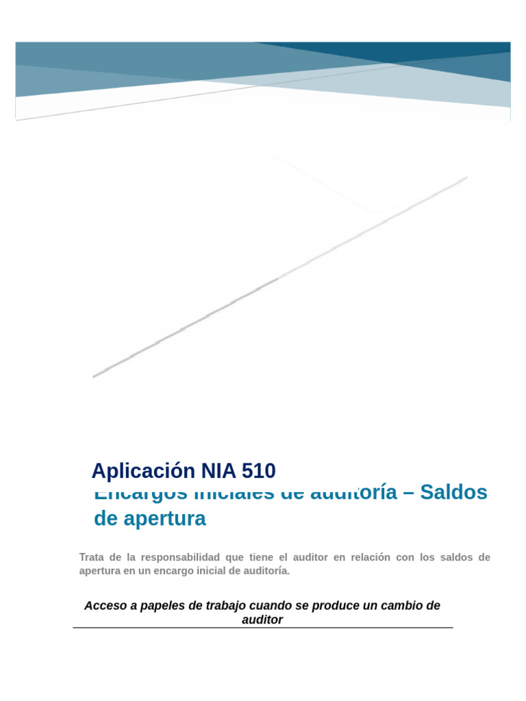 Aplicacion NIA 510 | PDF
