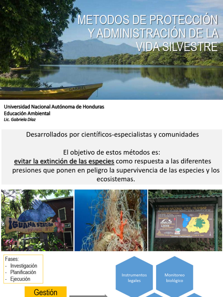 Admon. de La Vida 2020 | PDF
