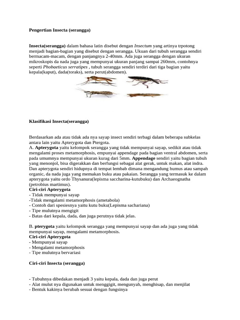 Pengertian Insecta | PDF
