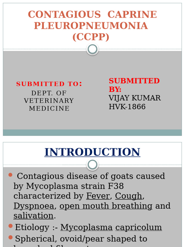 CCPP HVK 1866 | PDF