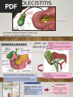 Hidrocolecisto y Piocolecisto: Definición y Tratamiento | PDF