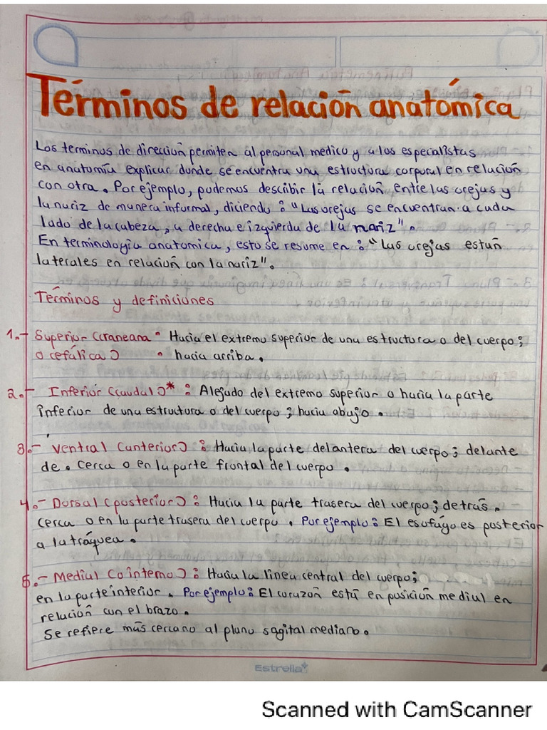Natalia Michelle Salas Torres. Tarea de Anatomía | PDF