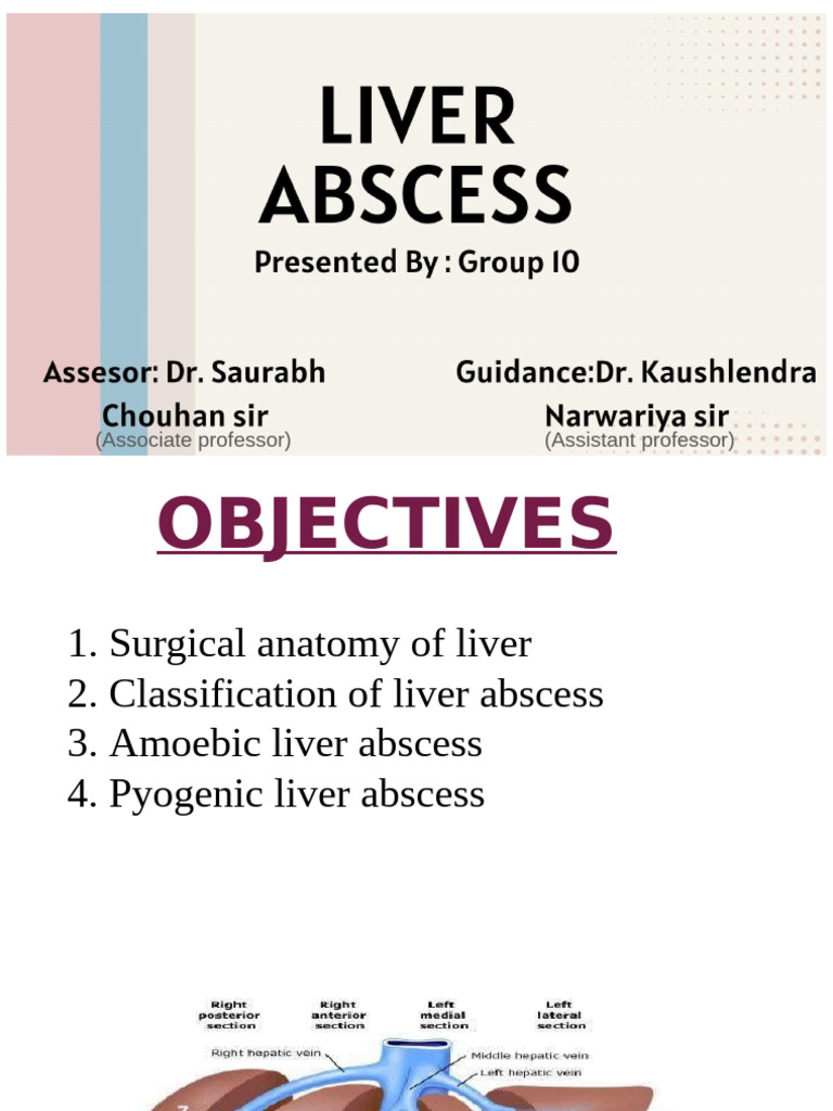 Liver Abscess | PDF
