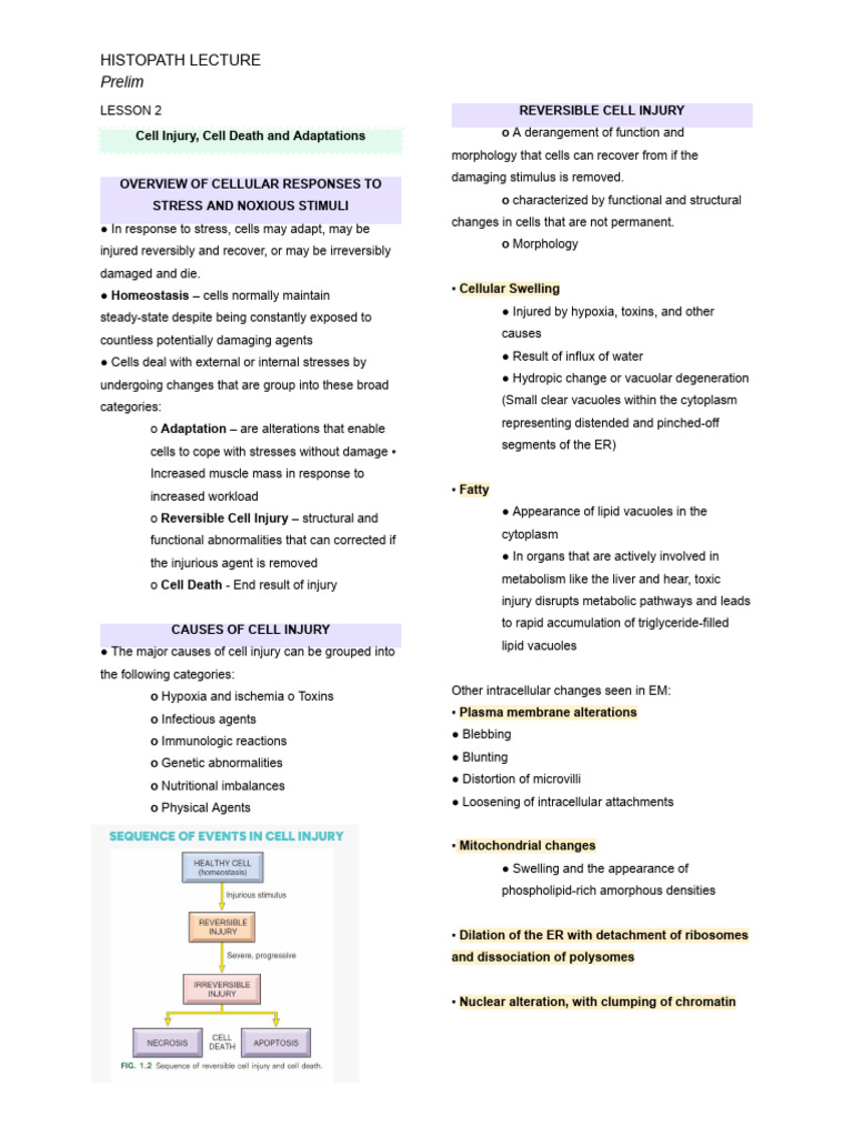 HISTOPATH LEC NOTES Lesson 2 | PDF