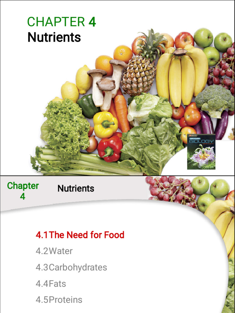 DBN PPT Lesson Slides C04 | PDF