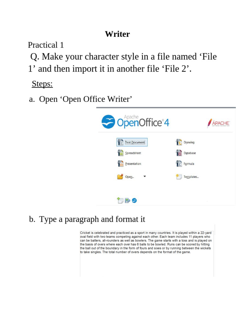Aditya Padhy IT Practicals | PDF
