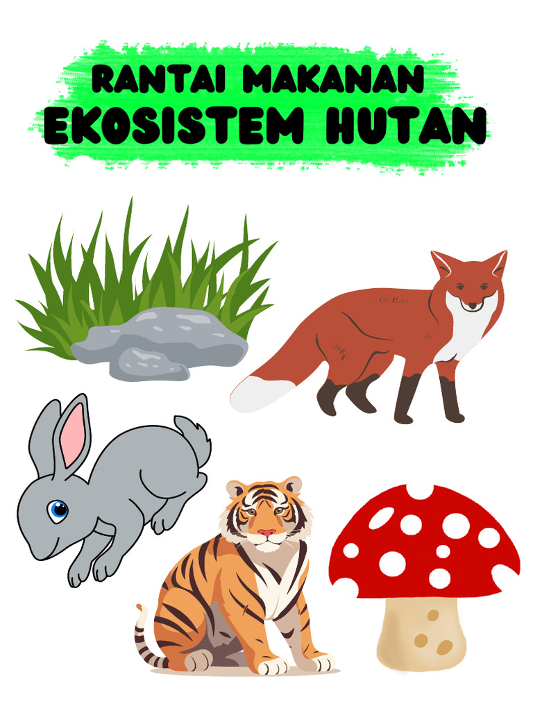 Diorama Rantai Makanan | PDF