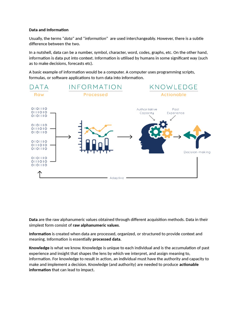 Data and Information | PDF