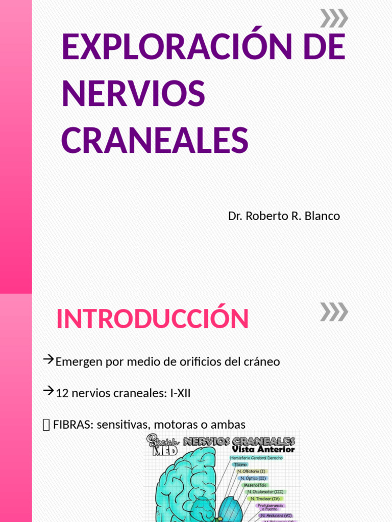 EXPLORACIÓN DE NERVIOS CRANEALES | PDF
