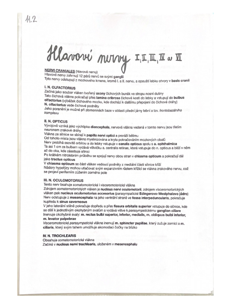 NERVI CRANIALES (Hlavové Nervy) | PDF