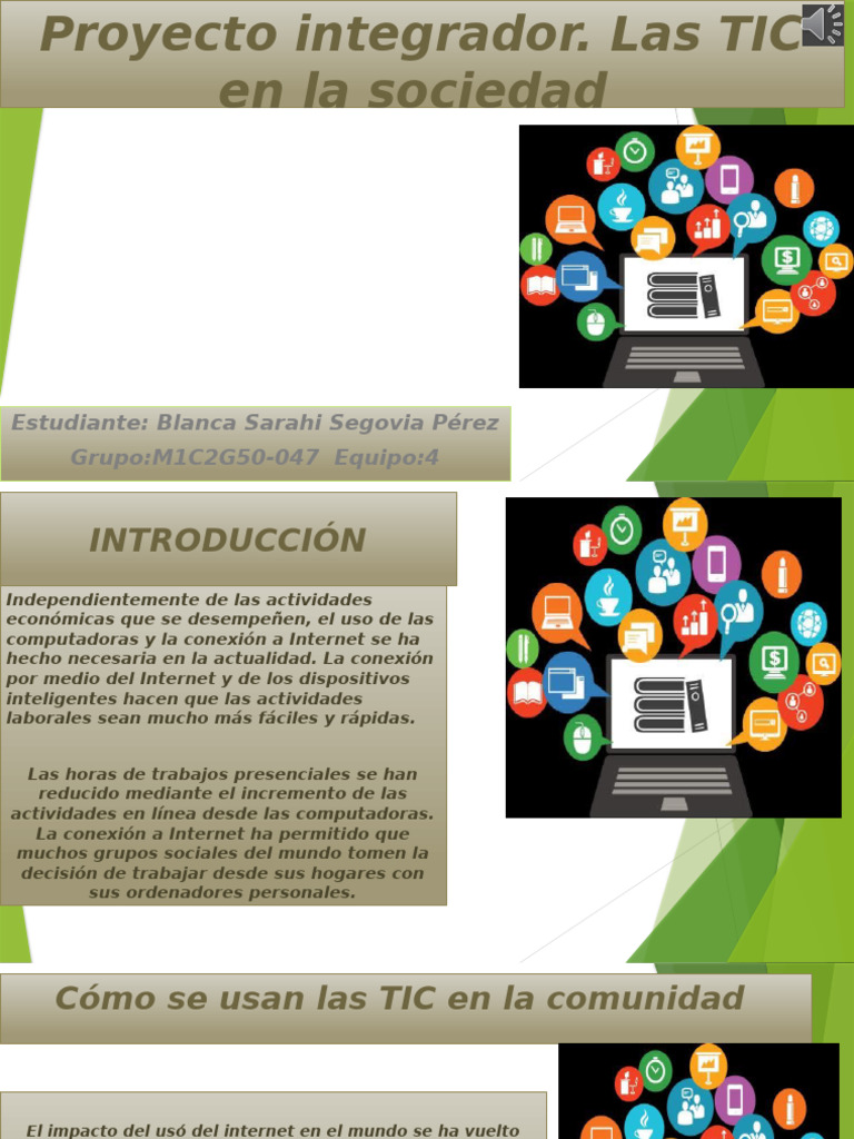 Proyecto Integrador Modulo 1 | PDF | Negocios | Ciencias sociales