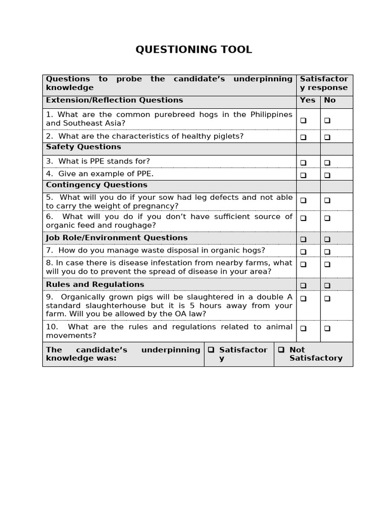 Rosalita Questioning Tool | PDF