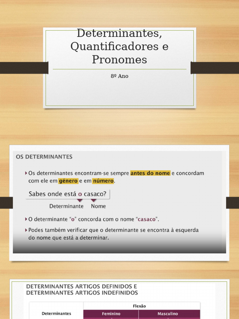 Determinantes, Quantificadores e Pronomes | PDF