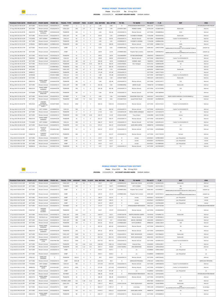 Momo Statement Report | PDF