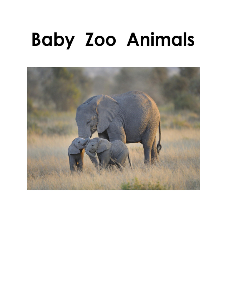 Baby Zoo Animals | PDF