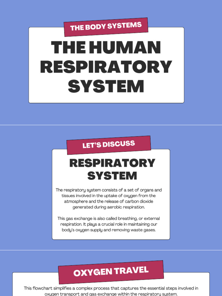 The-Respiratory-System (1) | PDF