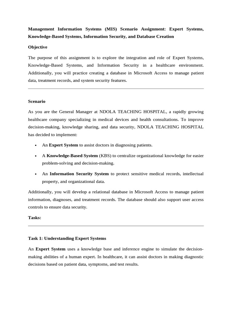 Management Information Systems Assignment 2 | PDF | Information Security | Databases