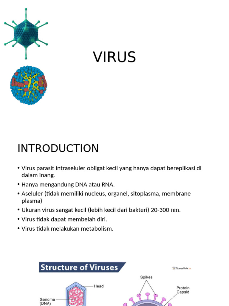 VIRUS | PDF