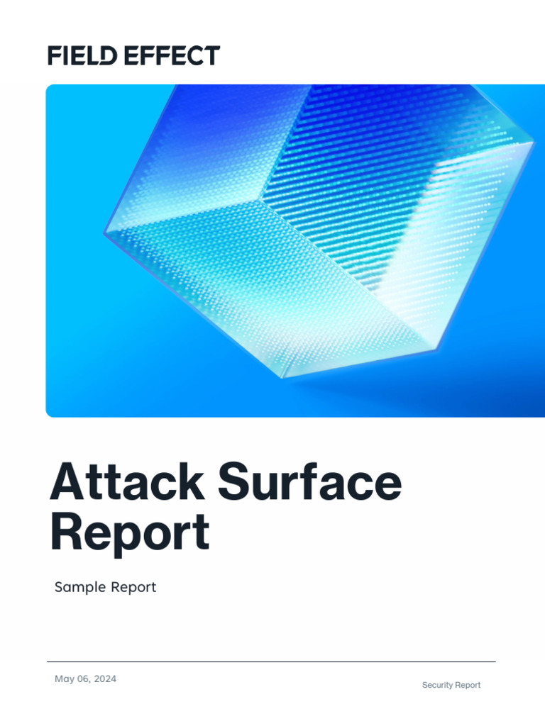 Attack Surface Report PDF | PDF