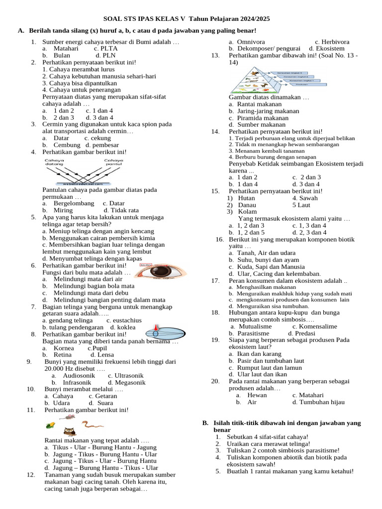 Soal STS 1 IPAS Kelas V | PDF