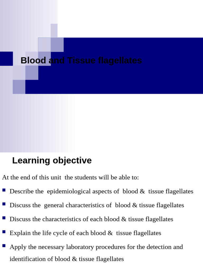 Blood Tissue Flagelt | PDF