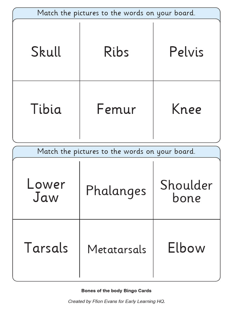 Bones of The Body Bingo | PDF