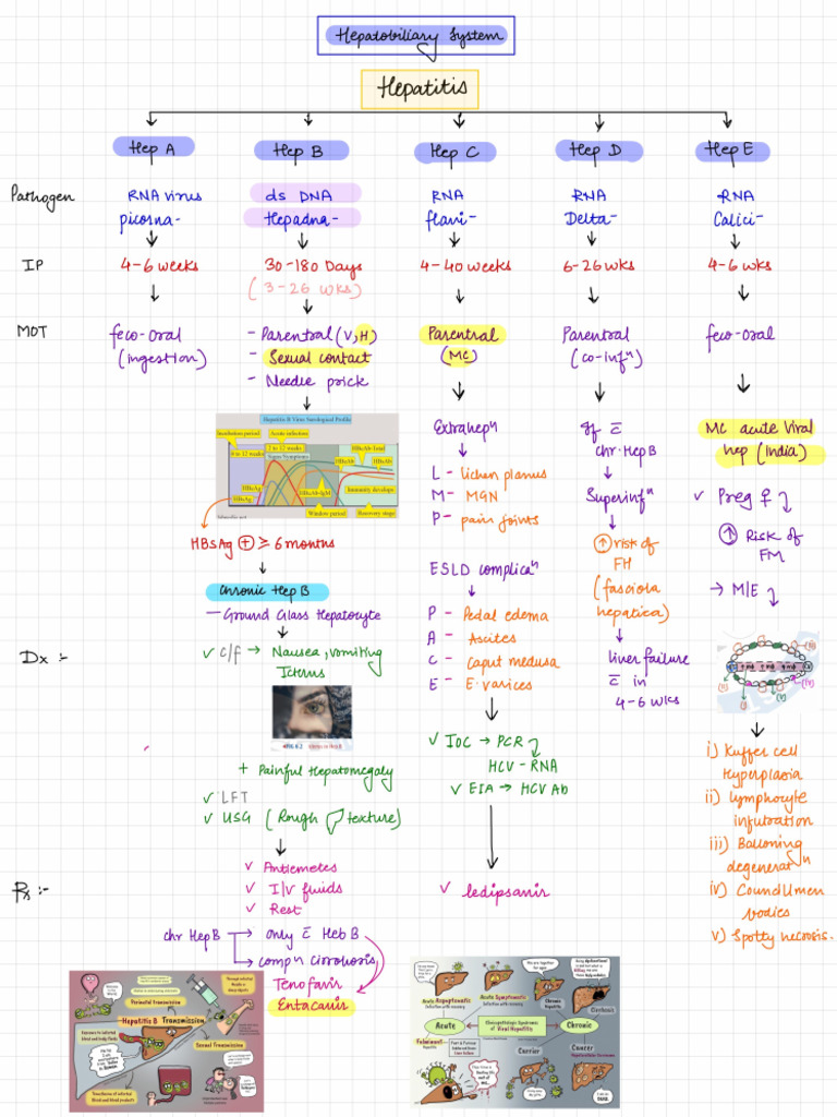 Medicine - Hepatobiliary System | PDF