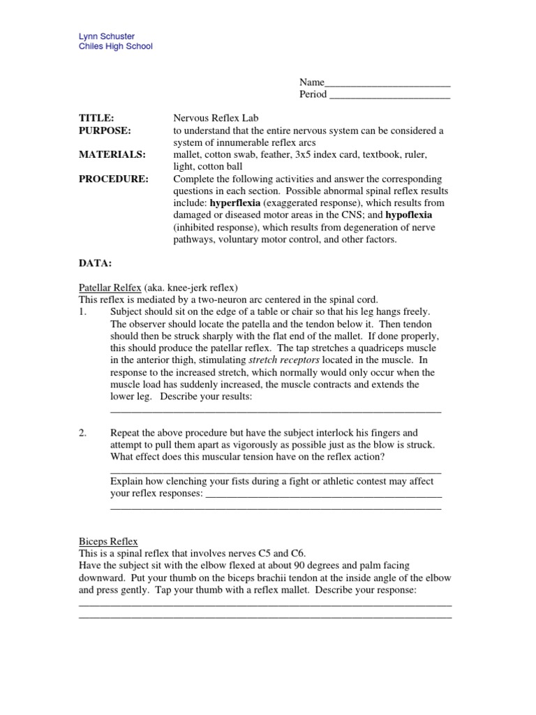 Reflex Lab To Understand That The Entire Nervous System Can Be ...