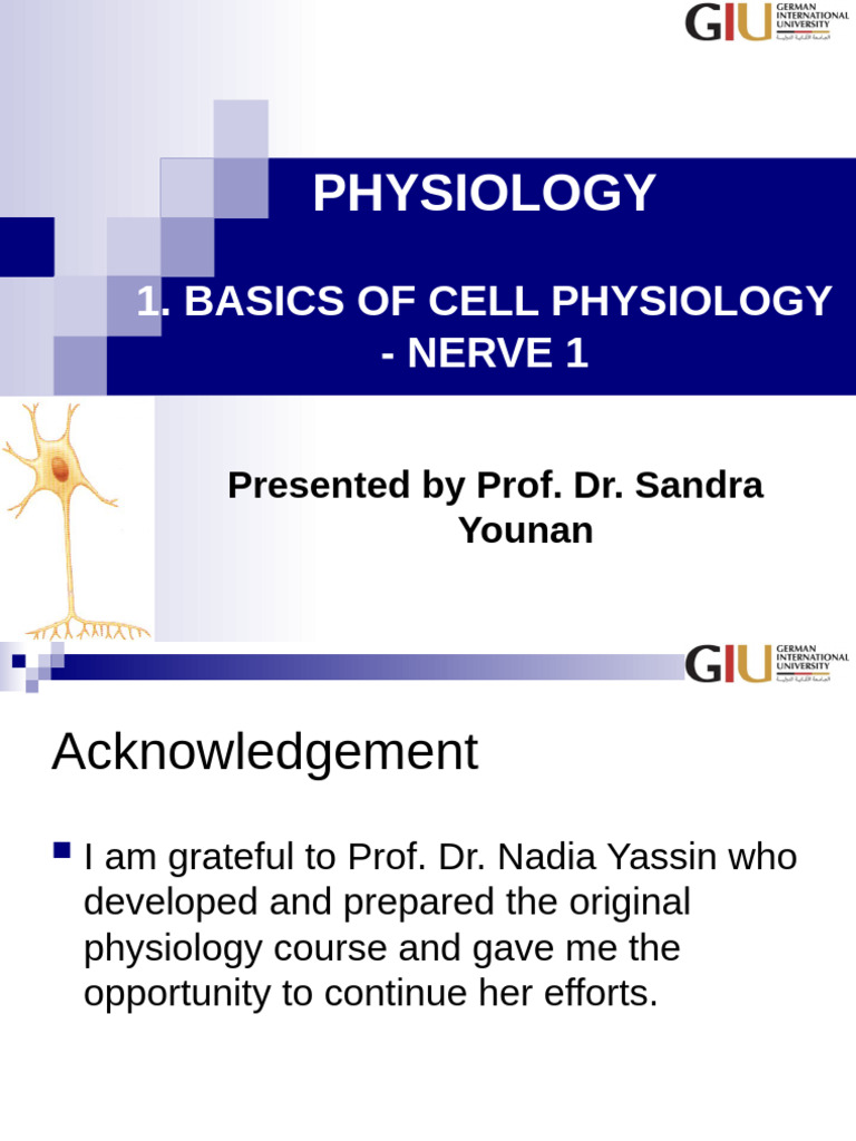 Lecture 1 Nerve | PDF