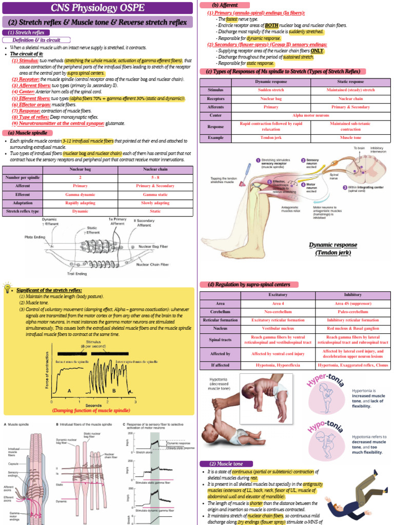 Physio Prelab Lec 2 CNS | PDF