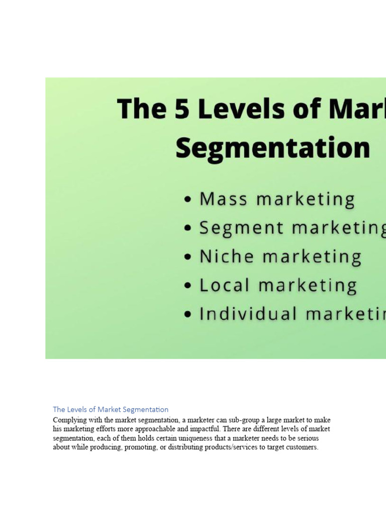 Levels of Segmentation | PDF