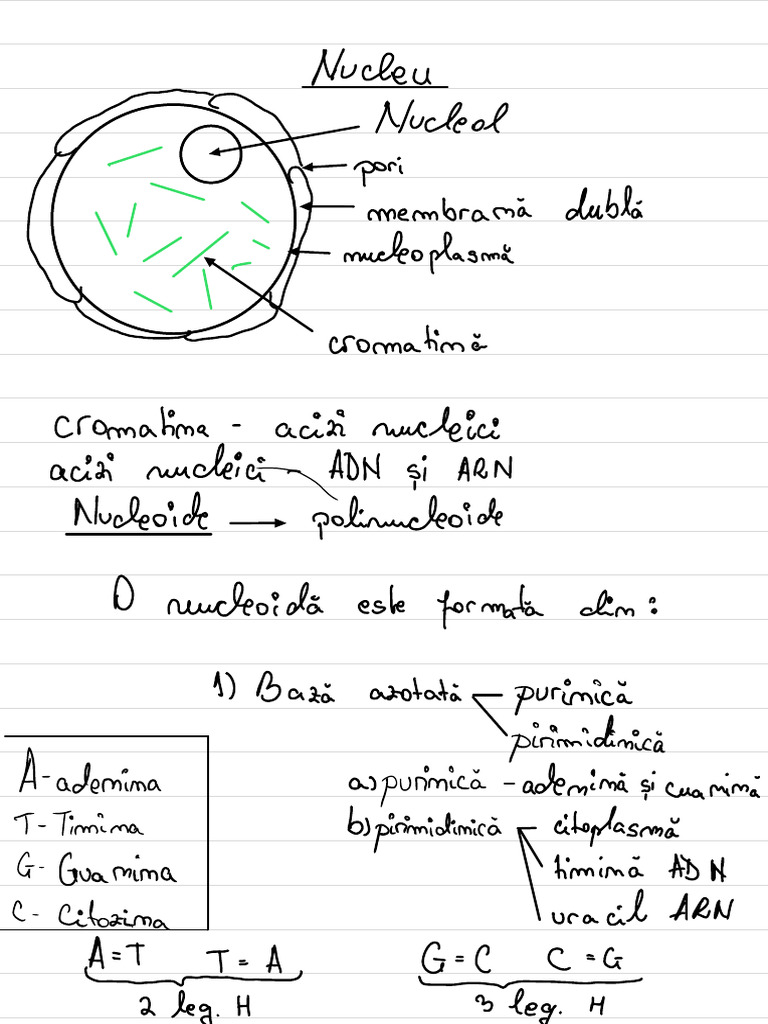 Biologie | PDF