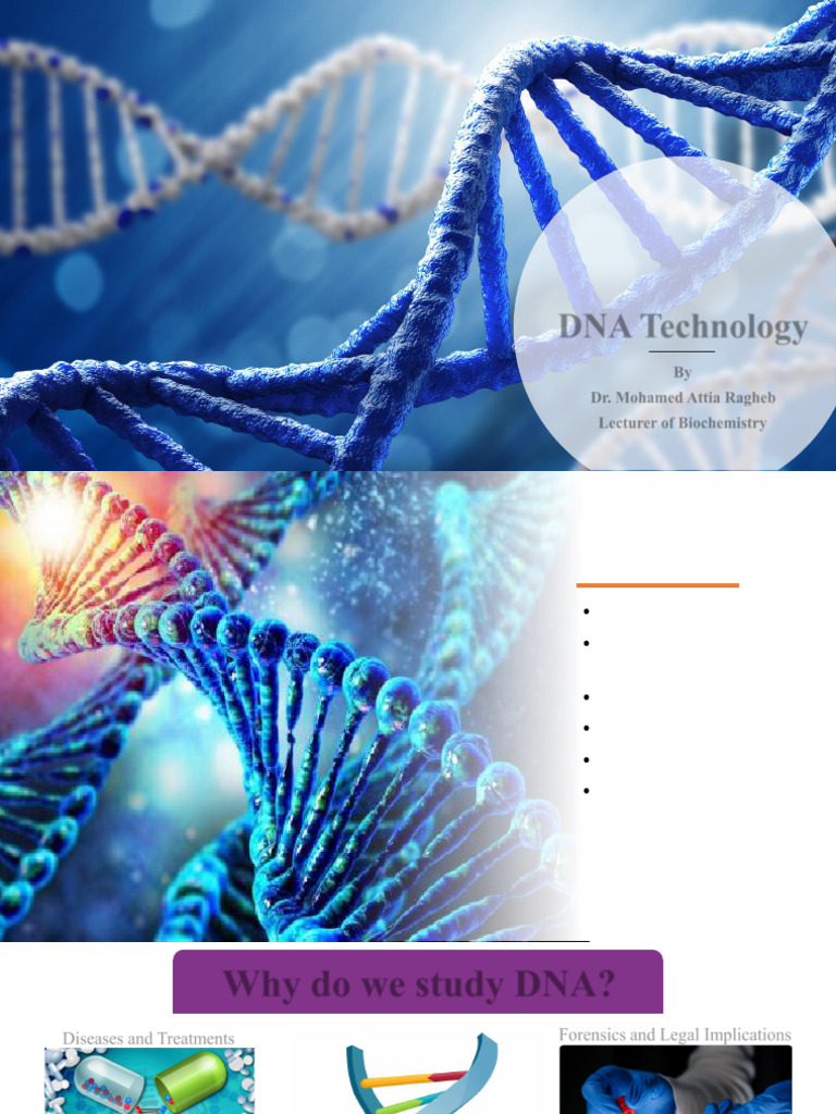 basics of DNA technology | PDF