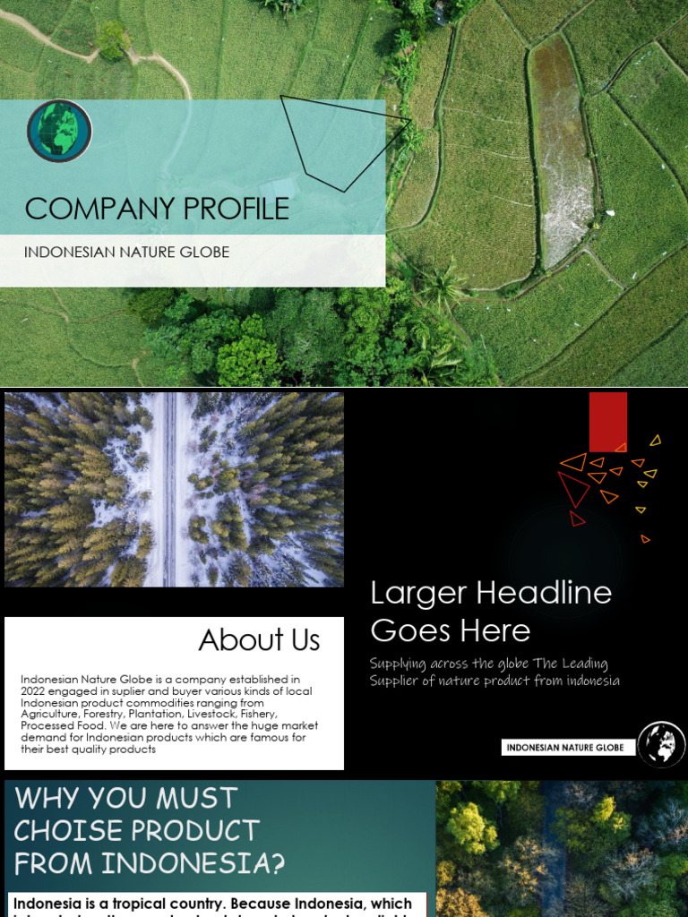 Company Profile Pt. Indonesian Nature Globe | PDF | Indonesia | Agriculture