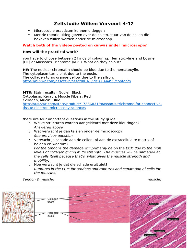Zelfstudie 4-12 Willem Vervoort | PDF