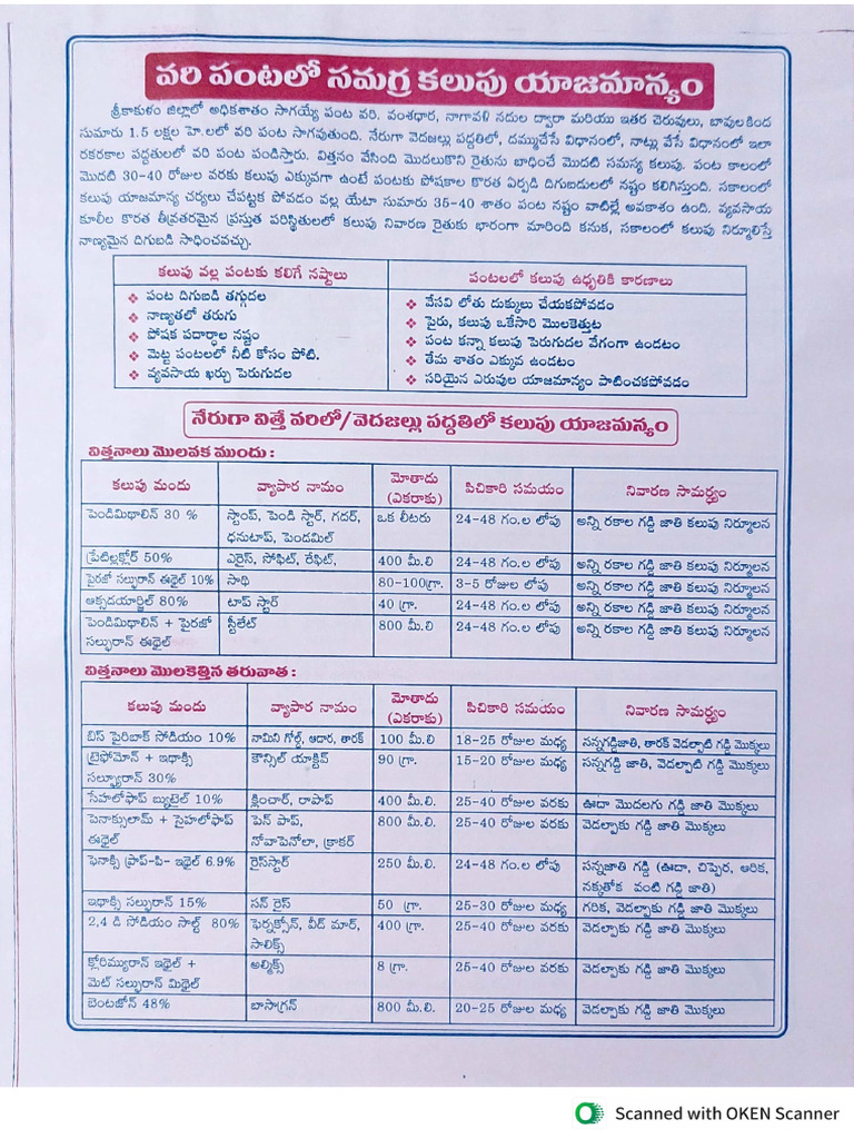 Weed Management in Paddy | PDF