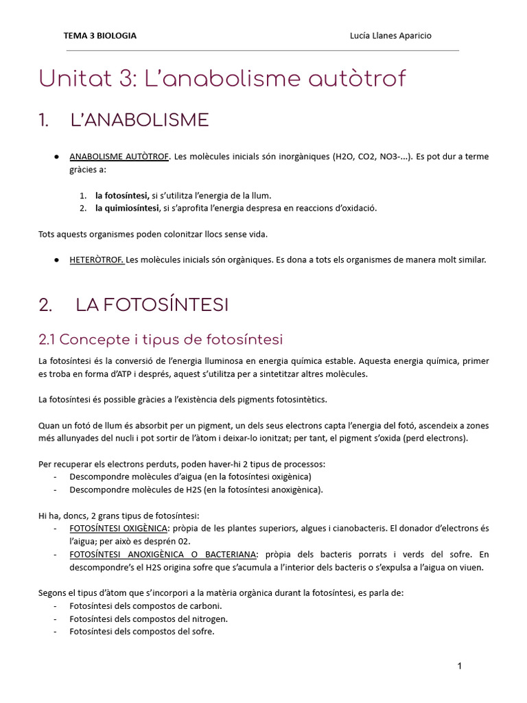 Biologia Unitat 3 | PDF