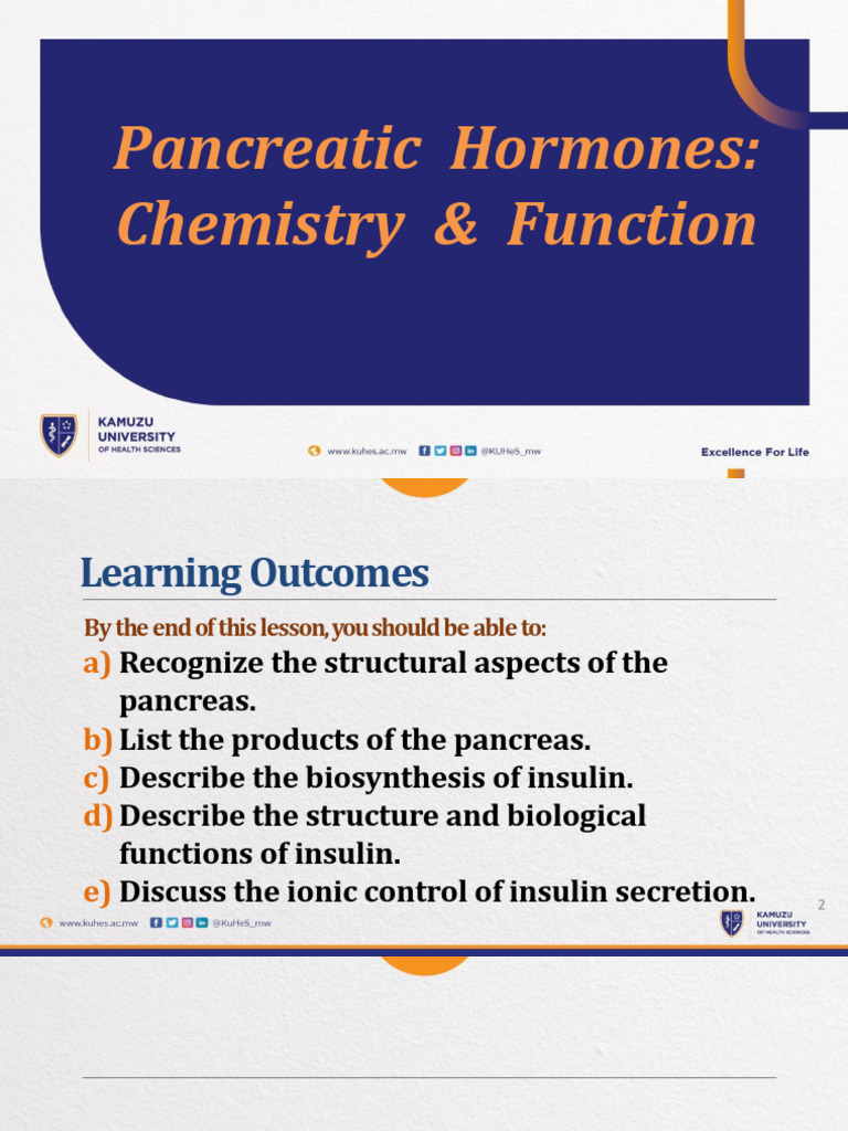 Pancreatic Hormones - Chemistry & Functions | PDF
