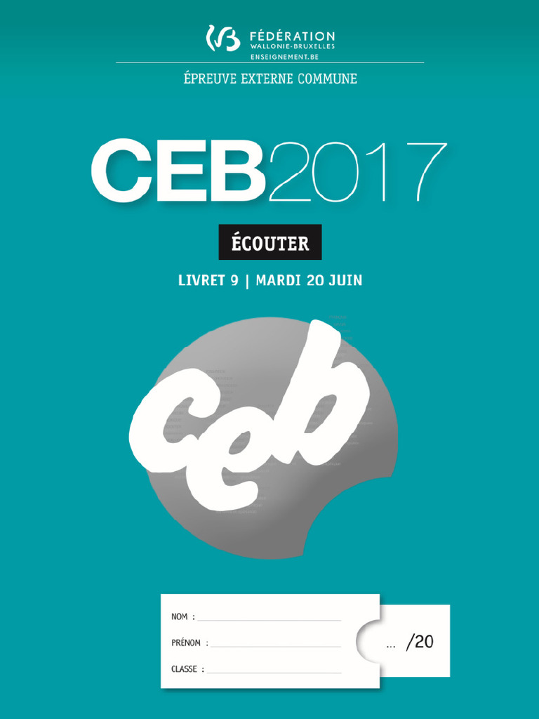CEB 2017 - questionnaire | PDF
