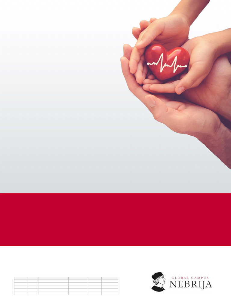 Tema 5 Planes Estrat Gicos (3 Parte) | PDF