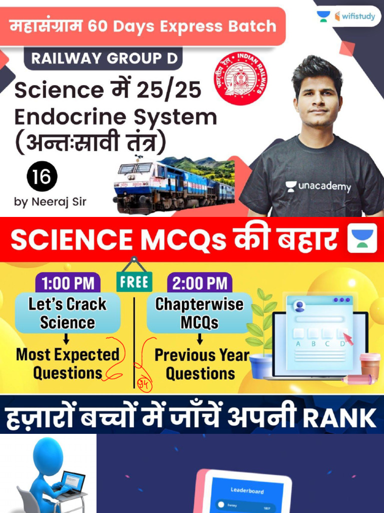 Endocrine System Group D | PDF