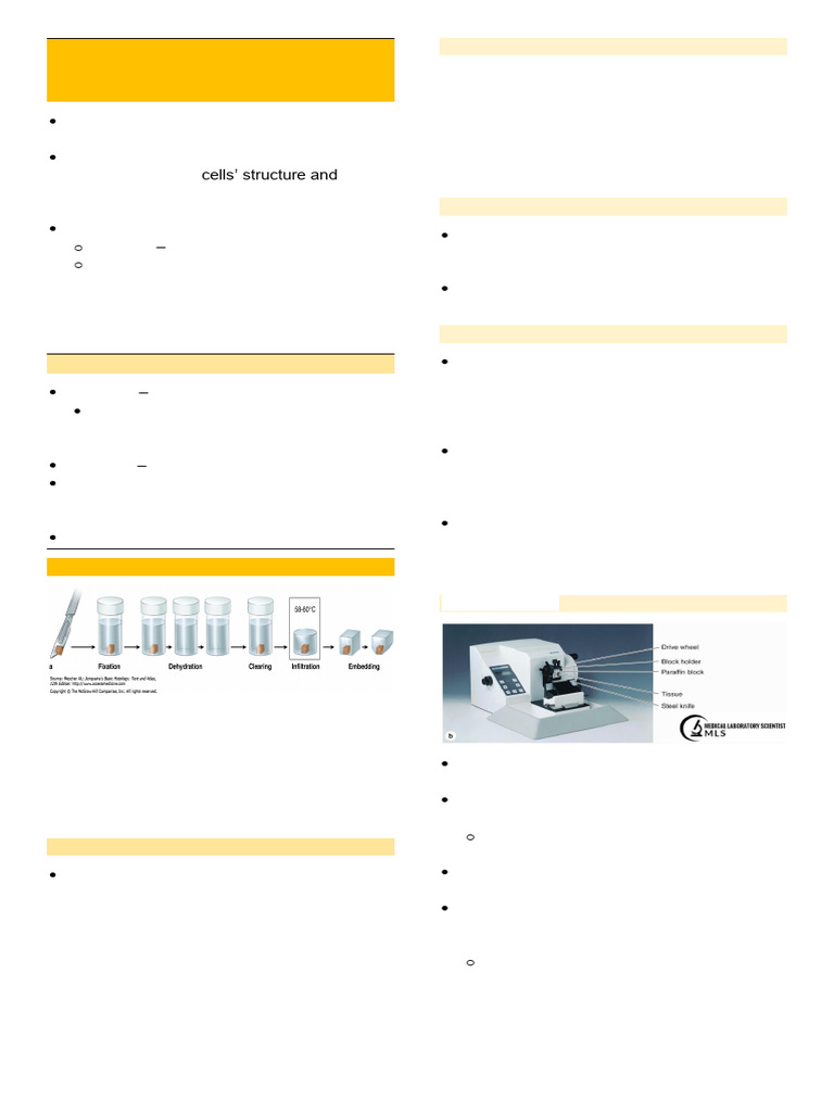 Histology Lecture 1 Pdf