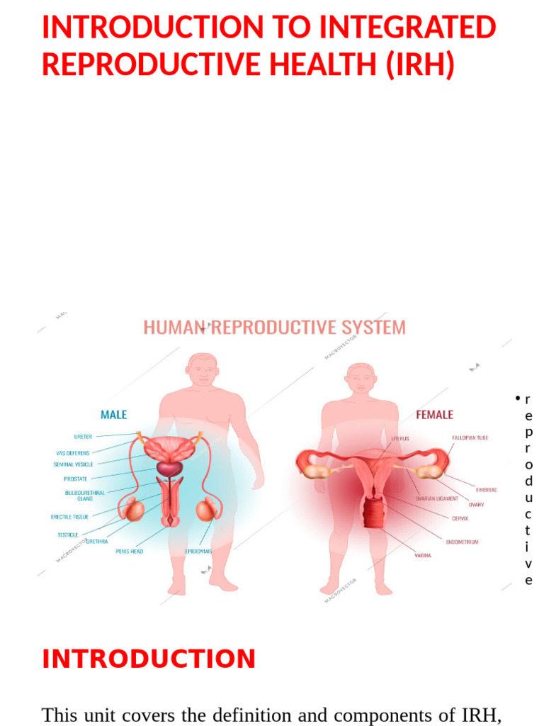 1 Introduction To Irh | PDF