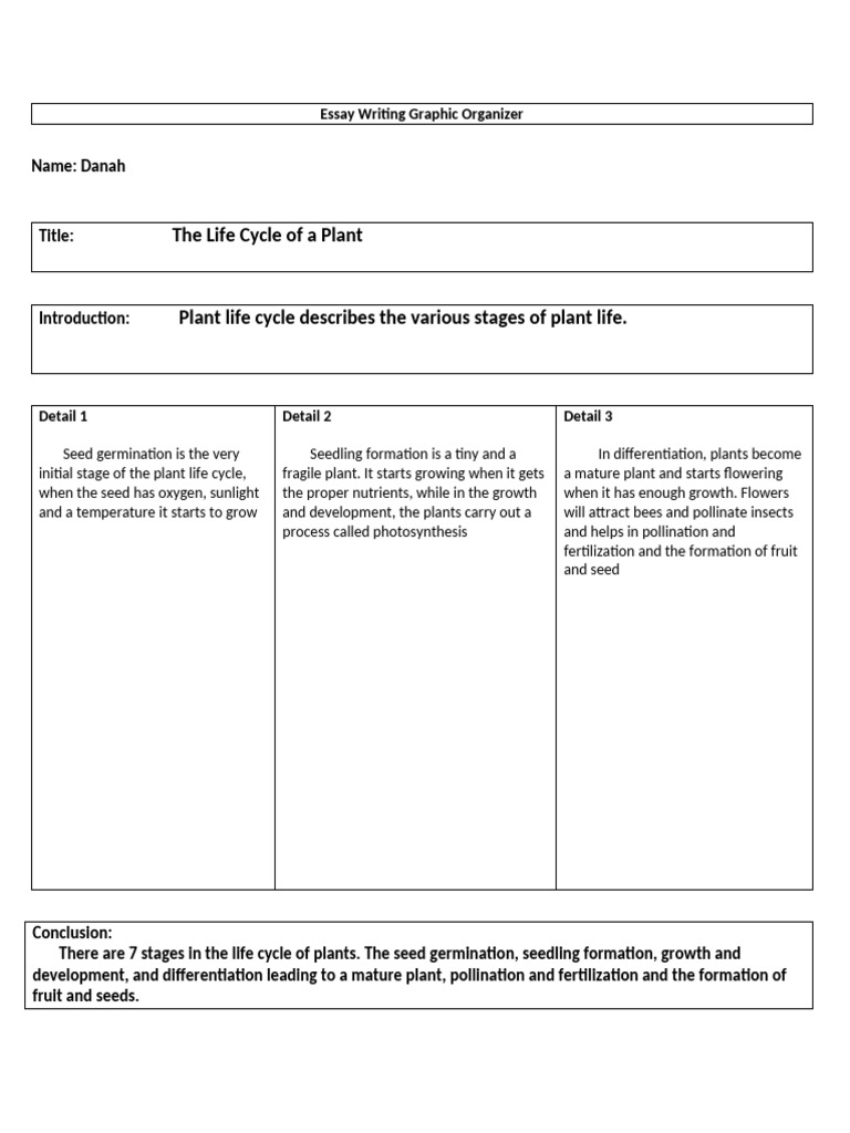 Essay Writing Graphic Organizer | PDF