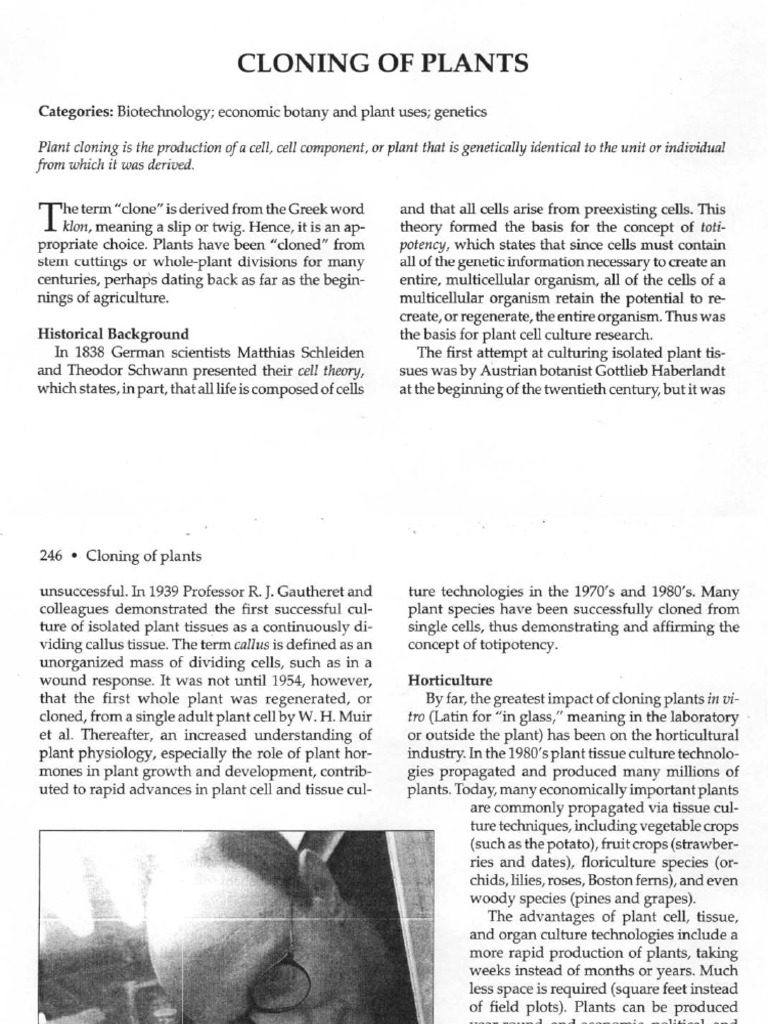 Cloning of Plants | PDF