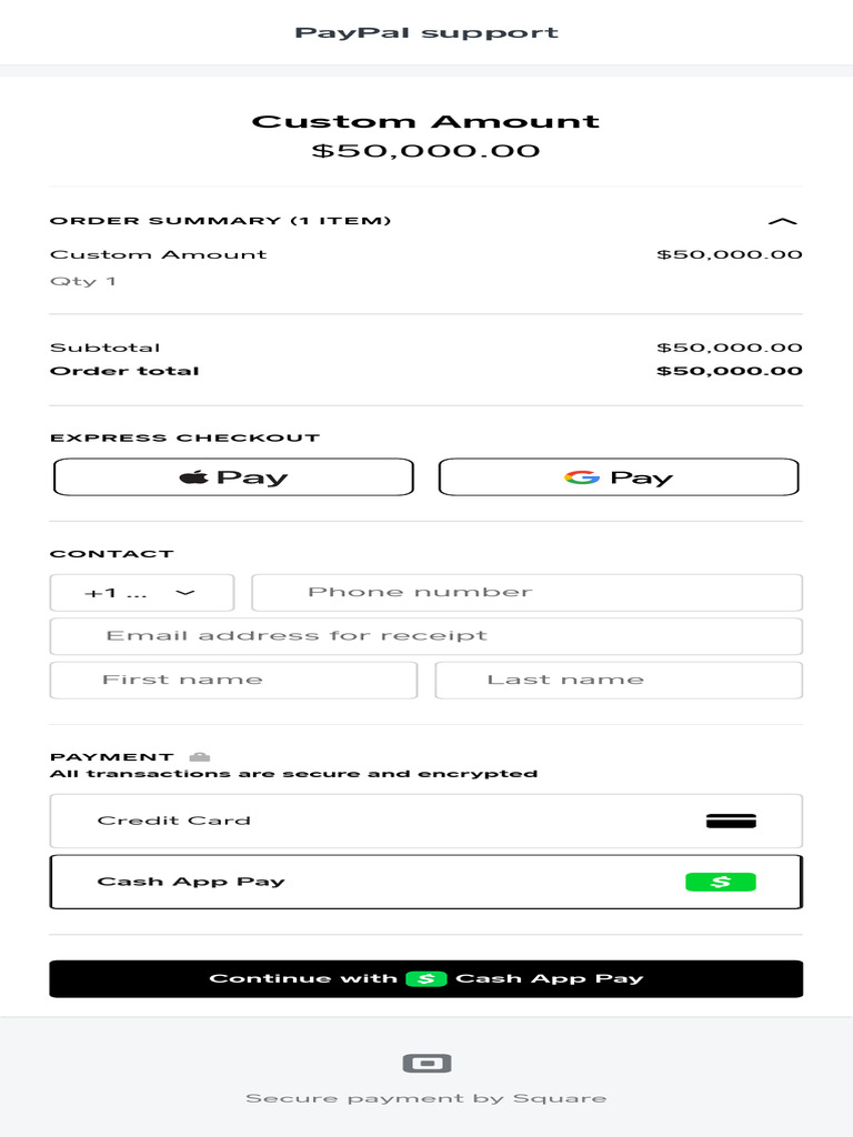 PayPal Paystation Custom Amount Order | PDF