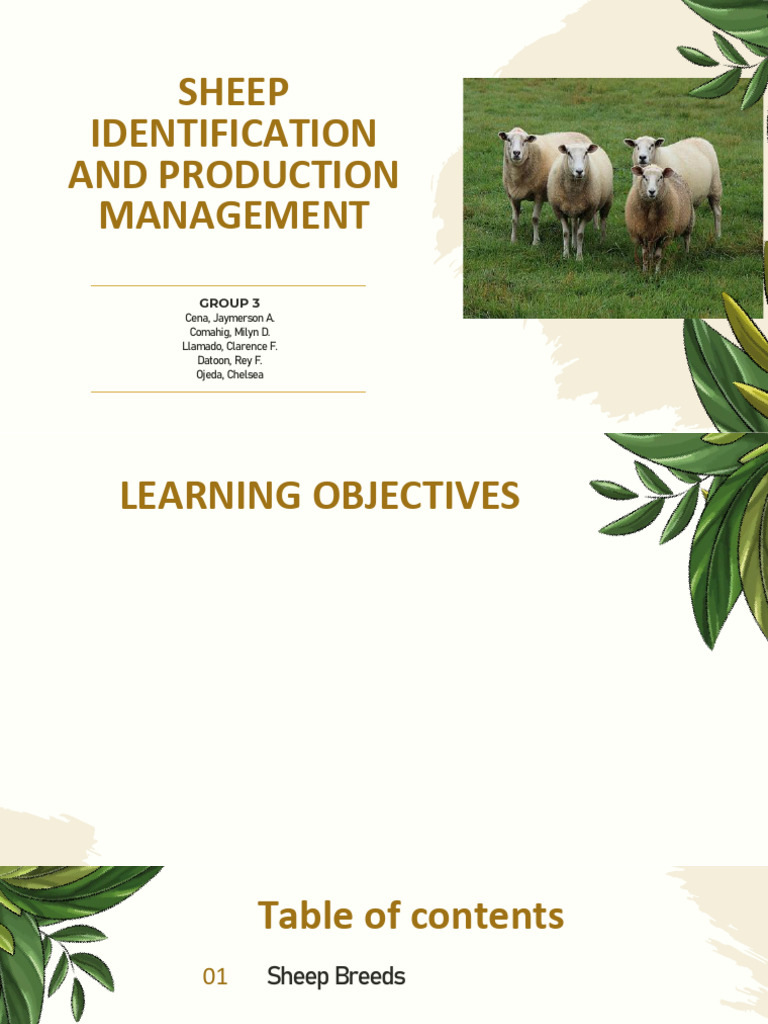 GROUP-3-SHEEP-1 | PDF