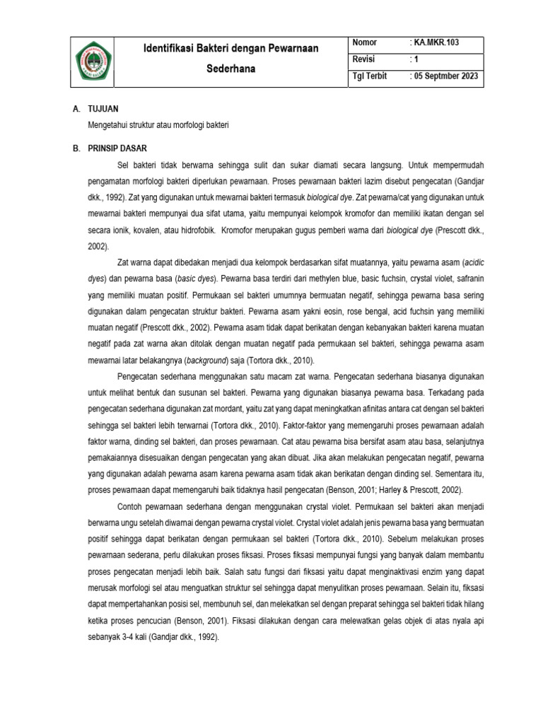 Identifikasi Bakteri Dengan Pewarnaan Sederhana | PDF