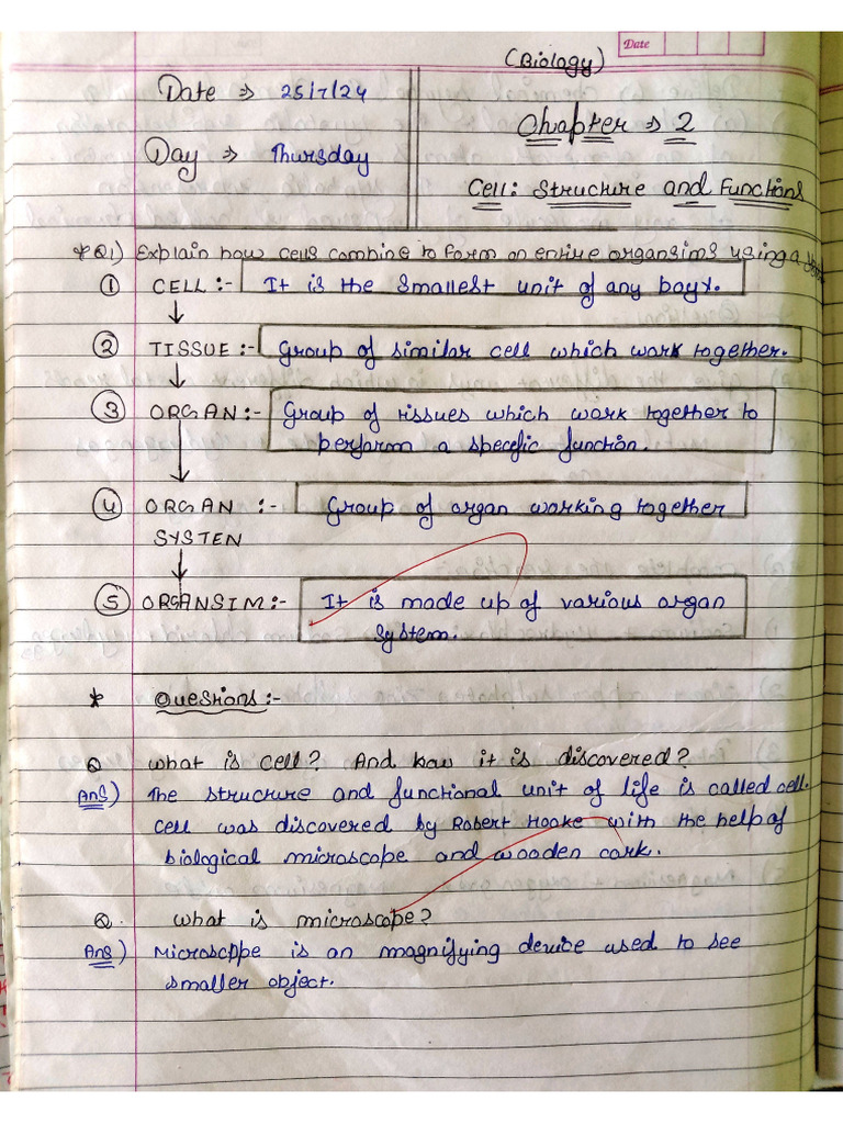 Chapter 2 Cell Structure and Function | PDF